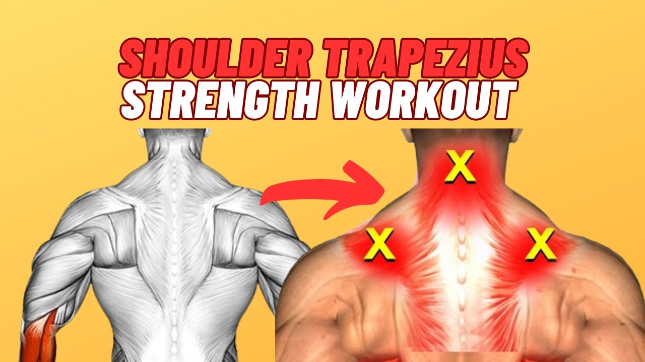 Sculpting Power: 5 Dynamic Exercises for Shoulder & Trapezius Strength ...