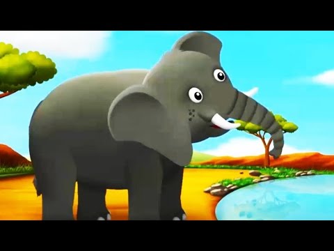 FeedingTime with Fred & Olive Vol 2: Safari Animals By Hompimpa Studio ...