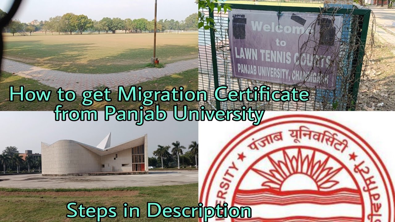 Taking Migration Certificate from Panjab University PU || Evening View ...