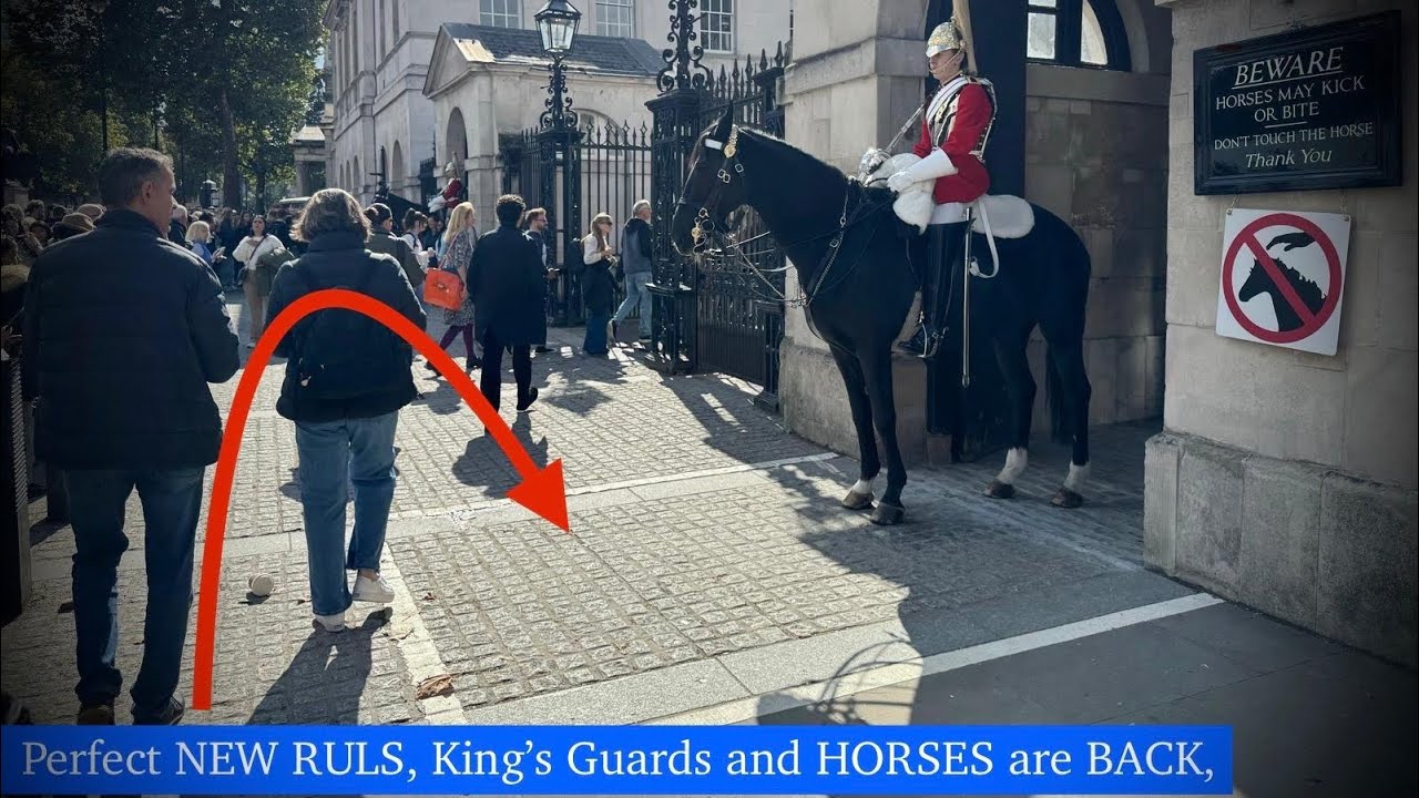 King’s Guards and Horses are Back, New RULES, Happy to see Tourists are ...