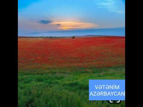 YENİLMƏZ BATALYON____KÖHLƏN ATIM