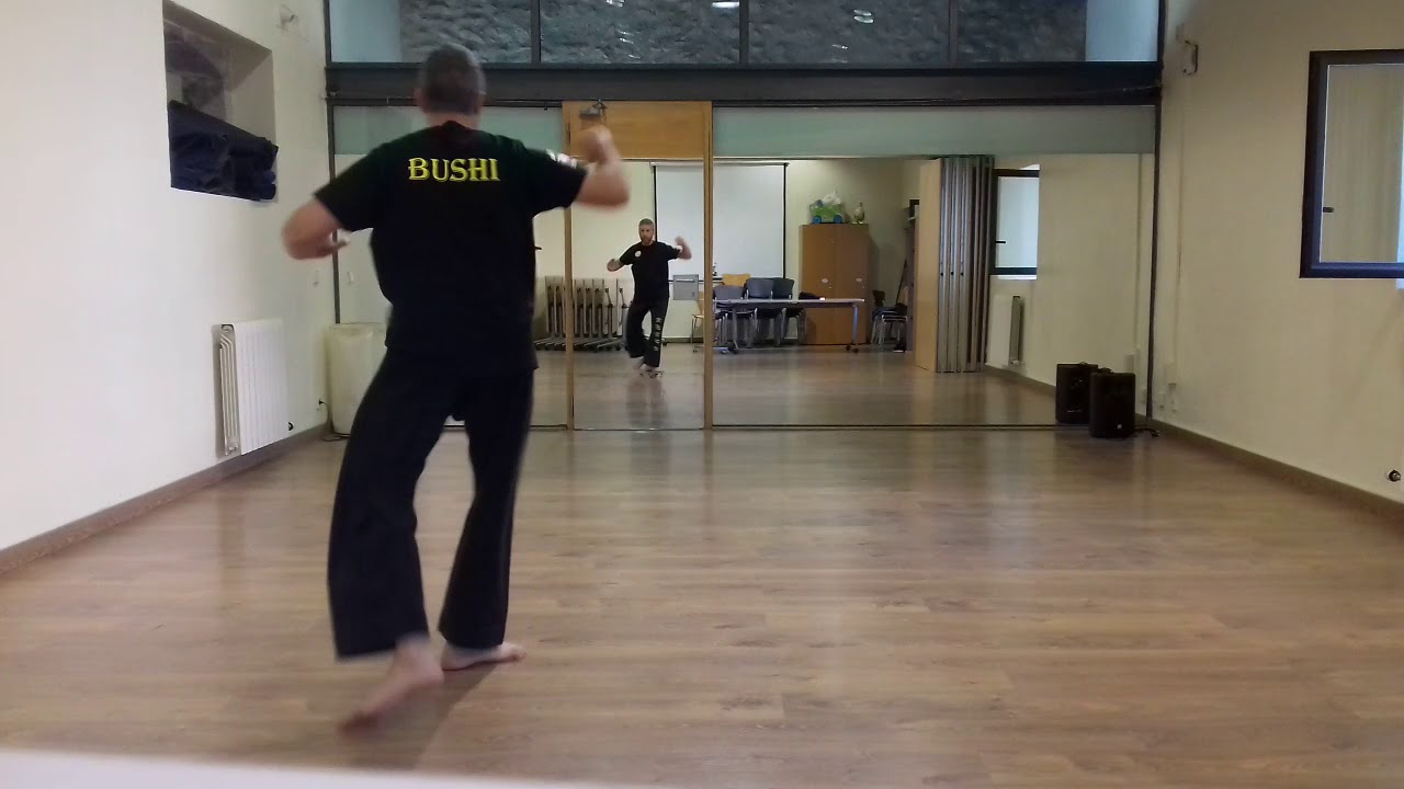 Kenpo Kata "Neko Buto Shodan" - YouTube