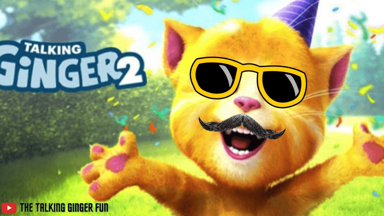 Talking ginger cat - YouTube