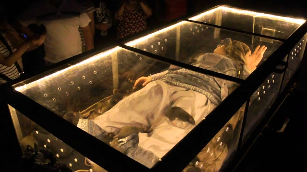 The Rat Lady, Halloween Horror Nights' treasured queen creeps out ...