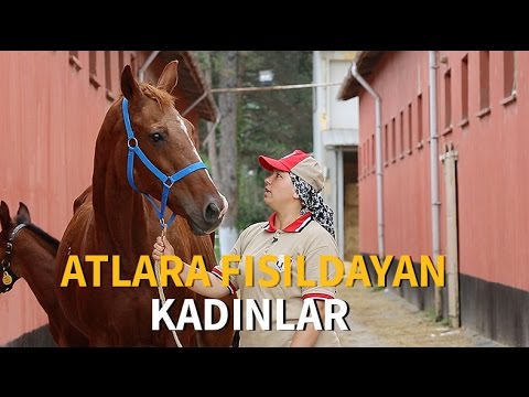 Atlara fısıldayan kadınlar