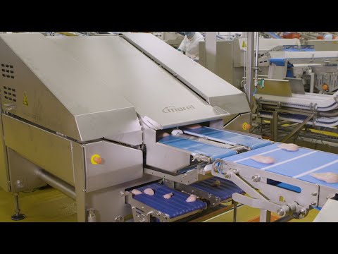 Marel I-Cut 122 TrimSort precise portion cutting