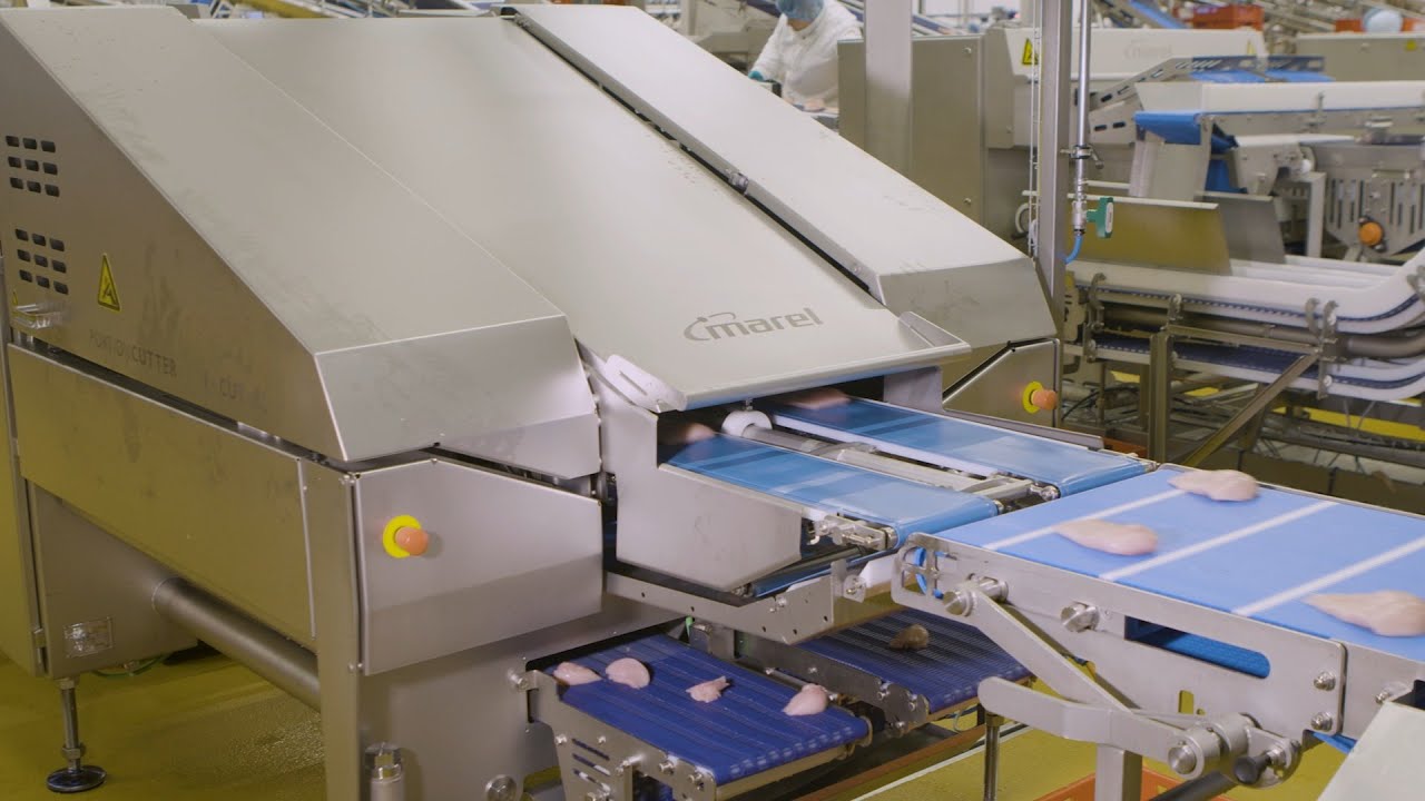 Marel I-Cut 122 TrimSort precise portion cutting - YouTube