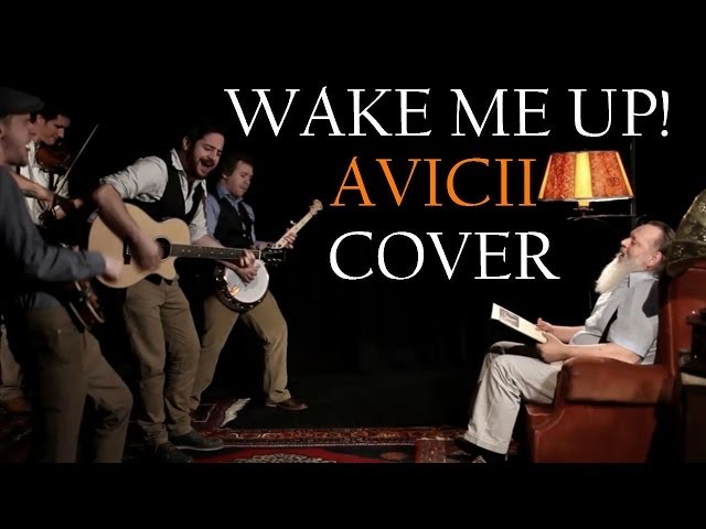 Wake Me Up Avicii Album Cover