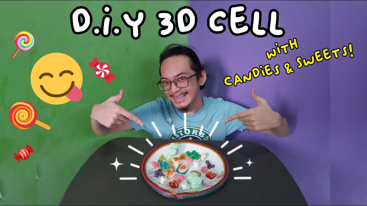 Plant Cell Made Of Candy How To Make An Edible Plant Cell Project For