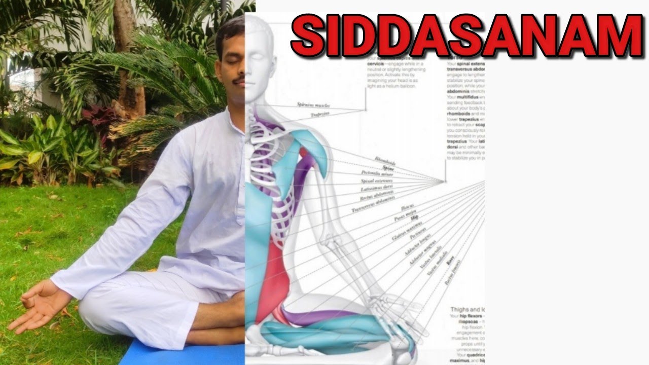 How to do Siddhasana | Benefits of Siddhasana | Yoga Day 2021 ...