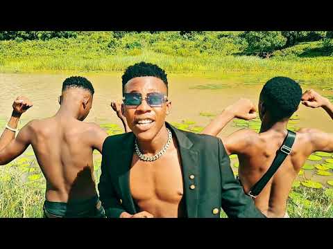 Elmine _Energy visualizer 