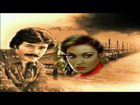 FERDİCİ NAİLE KARA VİCDANLI