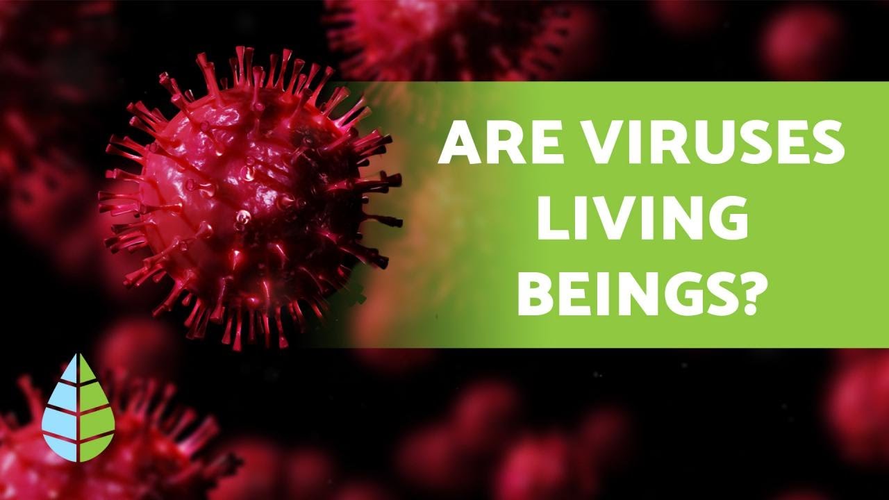 Are VIRUSES LIVING BEINGS? 🦠 - YouTube