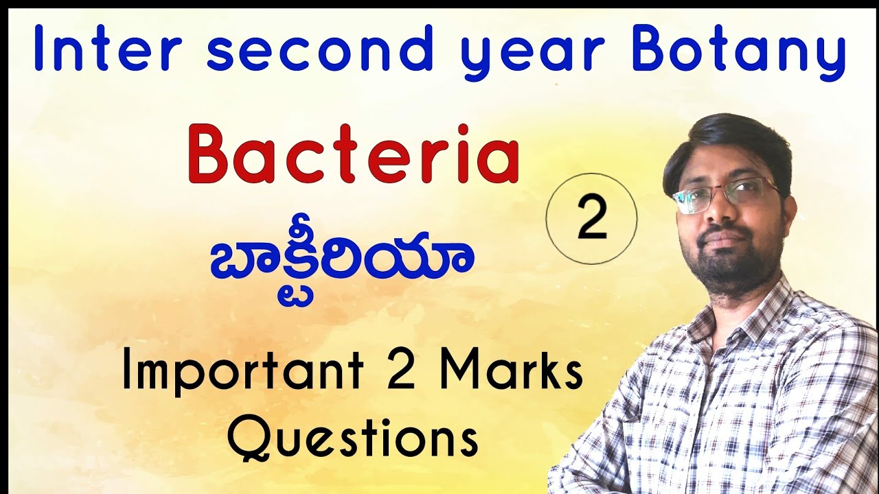 Bacteria lesson most important 2 Marks Questions PART 2 - YouTube
