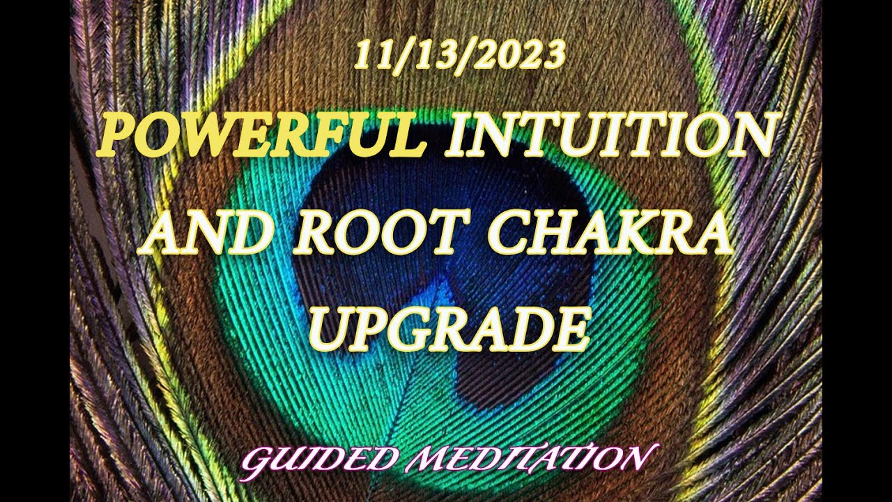 POWERFUL New Moon Healing Upgrade Guided Meditation (November 2023) 🌚♏️ ...