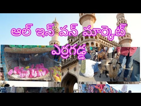Erragadda Sunday Market Hyderabad: The Best Things to Buy! - YouTube