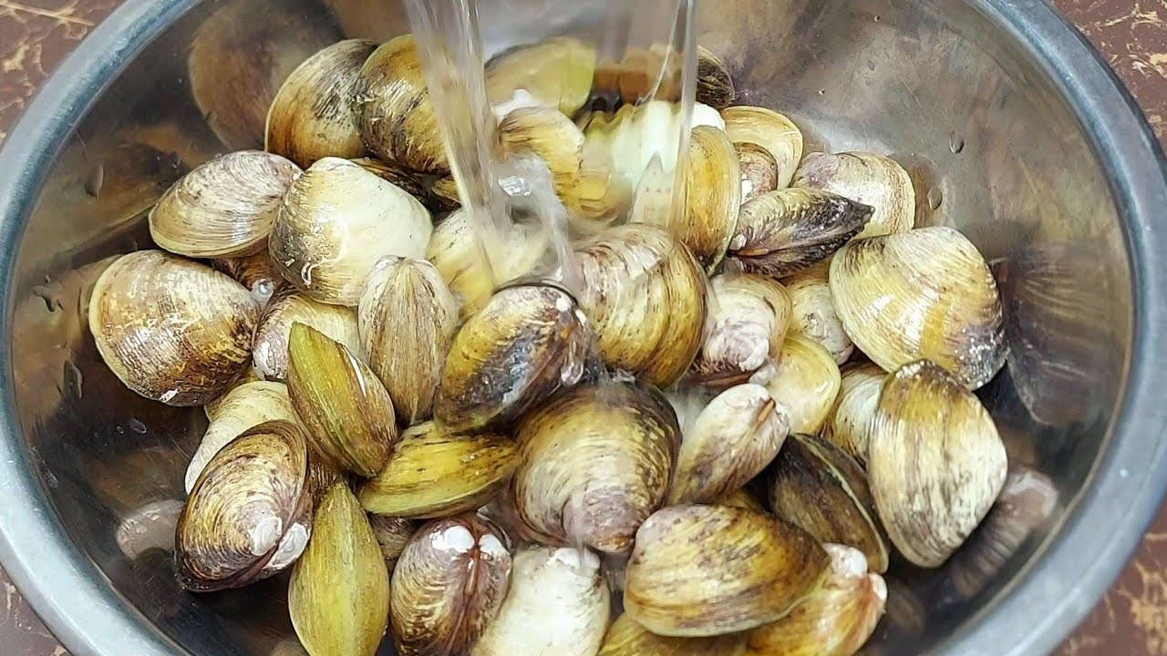 Ang Sarap pala ng Ganitong Luto sa Tuwoy ( Mud Shell ) Sarap Isabaw ang ...