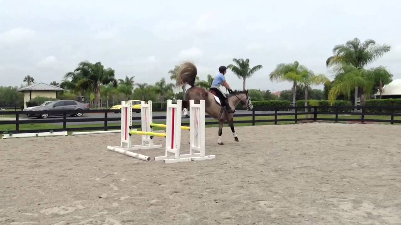 Roo jump clip - YouTube