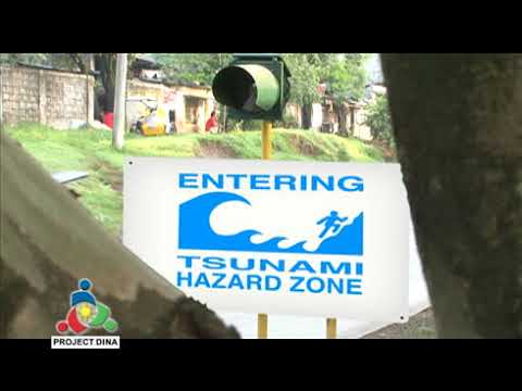 PROJECT DINA: TSUNAMI - YouTube