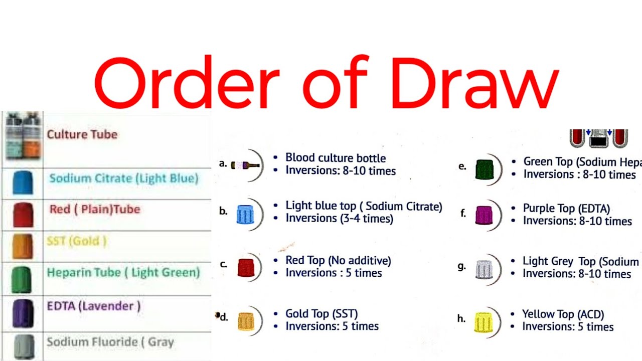 Order of draw blood collection||order of draw phlebotomy |#nursing # ...