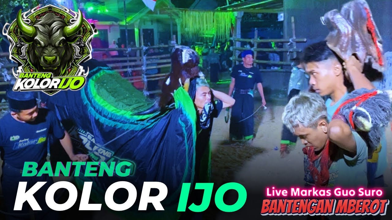 NGERI!! KALAPAN BANTENG KOLOR IJO Terbaru Edisi Mberot Horeg di Markas ...