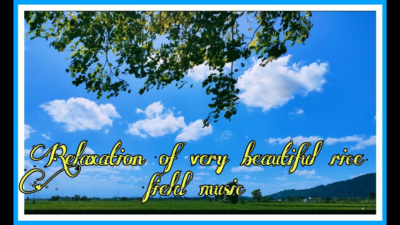 Relaxation of very beautiful rice field music - YouTube