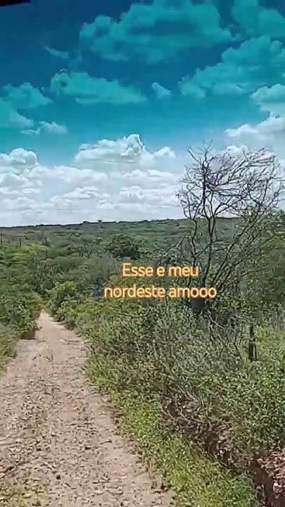 eu amo o meu nordeste #music #automobile #ias #registrodevida #vidaconjugal - YouTube