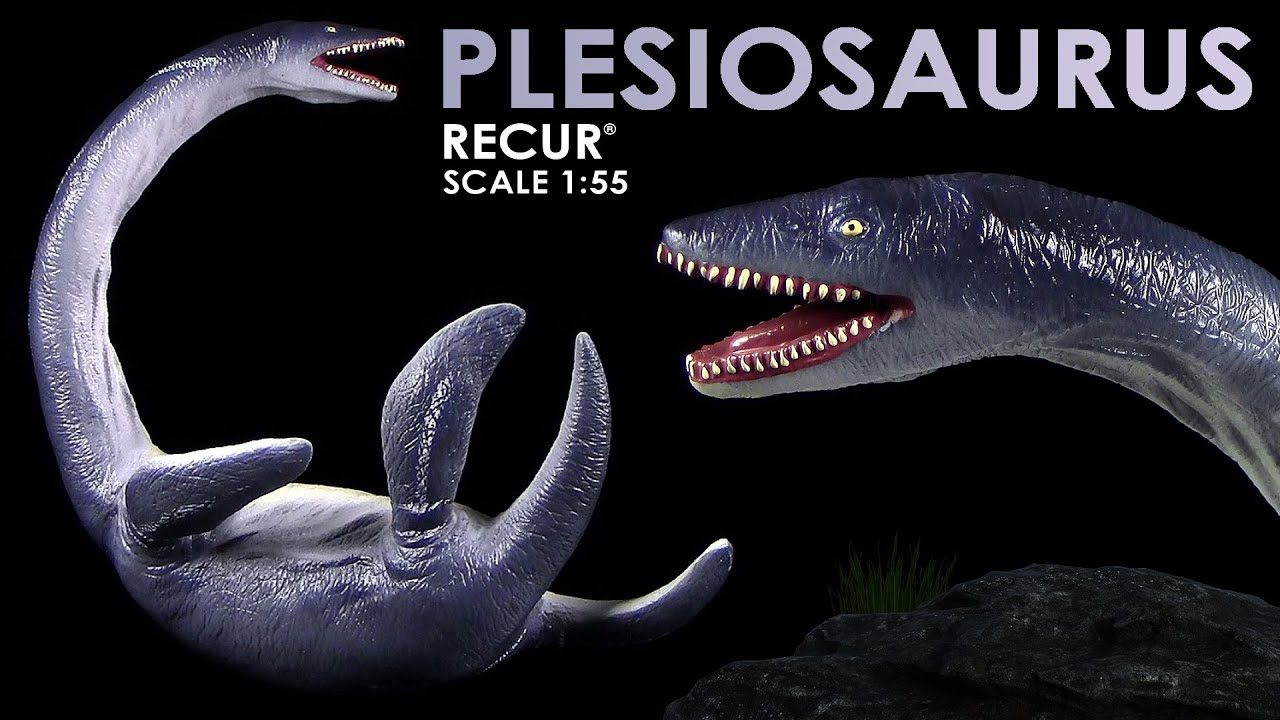 Recur ® Plesiosaurus / Plesiosaurier - Review (Deutsch / German) - YouTube