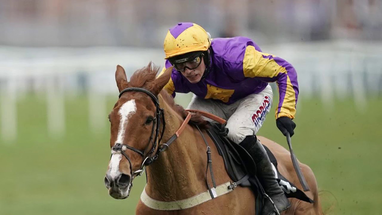 Horse Racing Betting Tips: Copperhead set to strike in soft ground ...