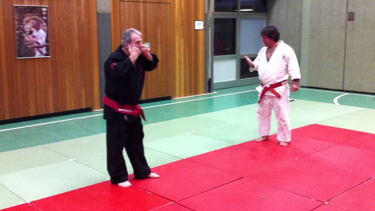 Soke Bryan Cheek, Bonn Jukoshin dojo, December 2013 - YouTube