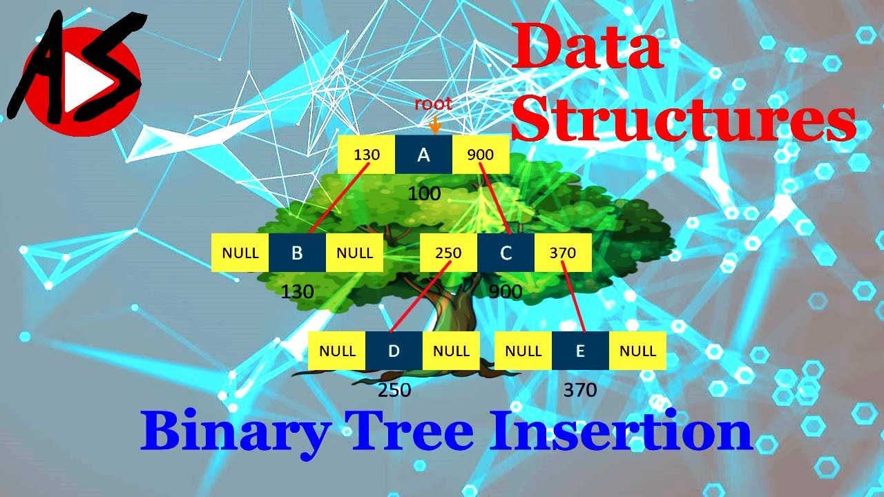 Insertion in a Binary Tree - YouTube