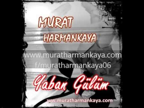 Murat Harmankaya Yaban Gülüm