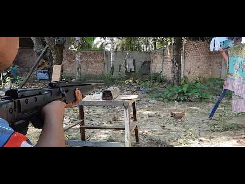 Pcp Big game SKS Ruger M24 popor awp - YouTube