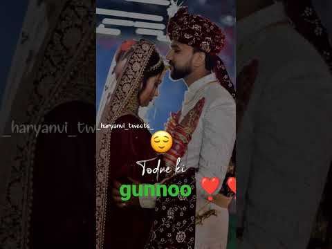 gunnoo - YouTube