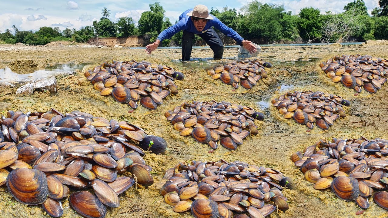 There are big river clams in the lake that you can't imagine, beautiful ...