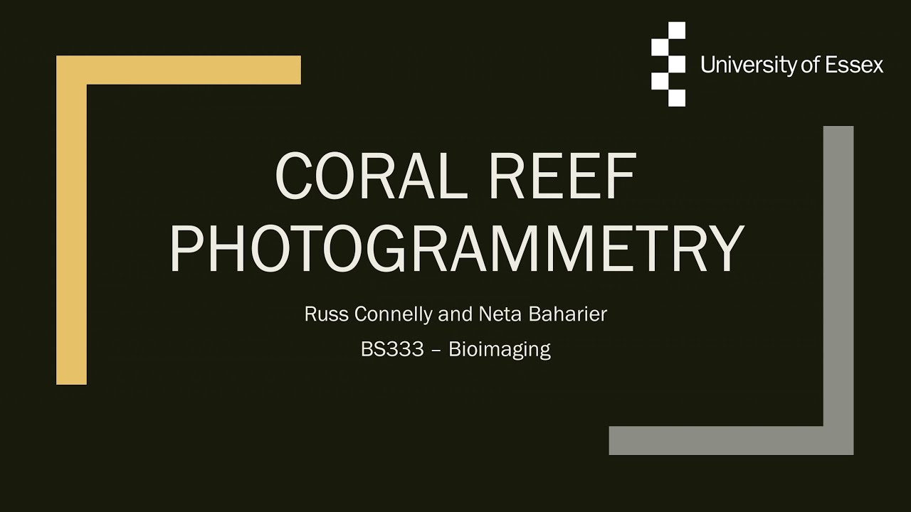 Coral Reef Photogrammetry - YouTube