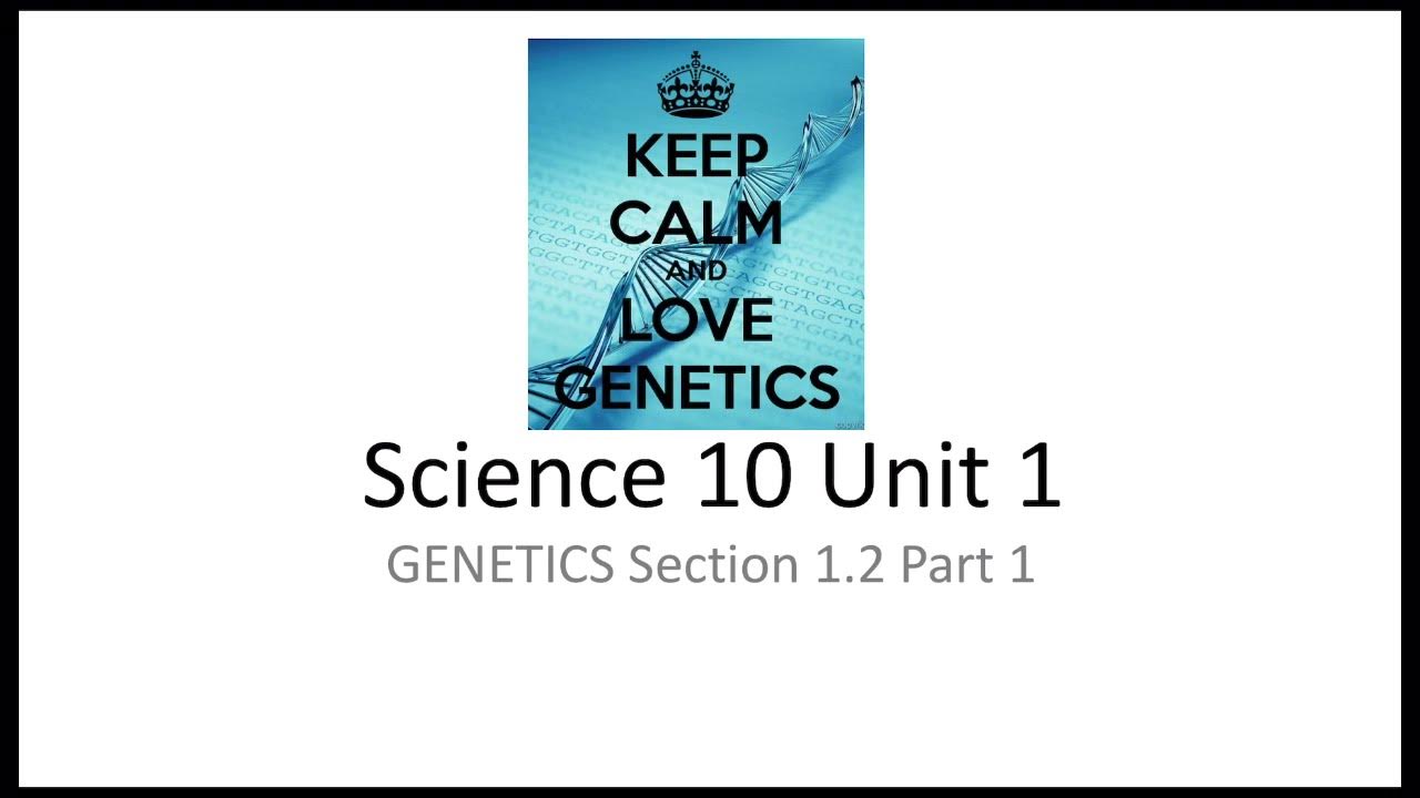 Sci 10 Biology Lesson 6 - YouTube