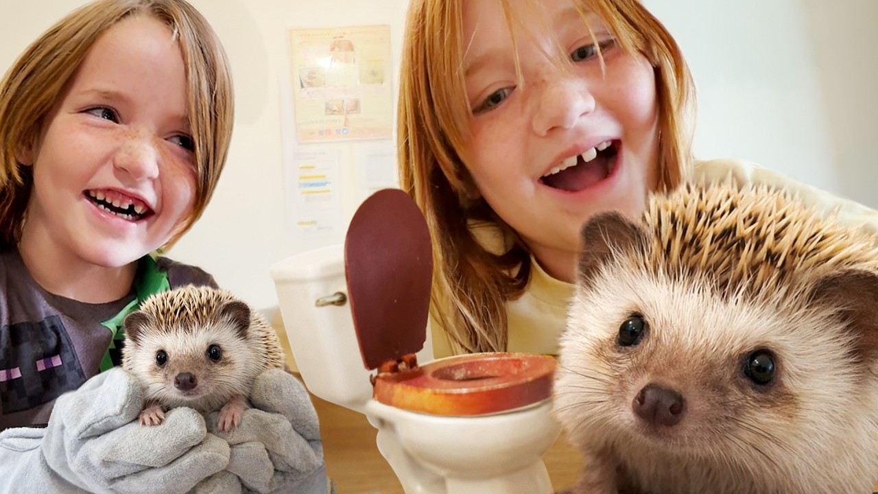 BABY HEDGEHOG BABYSiTTERS!! Adley and Niko play with a Bunny, a Labubu ...