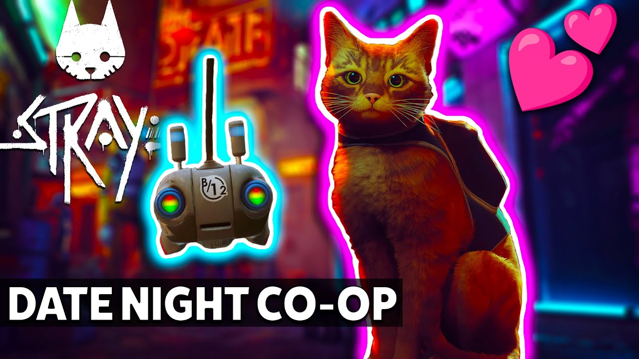Stray Date Night - YouTube