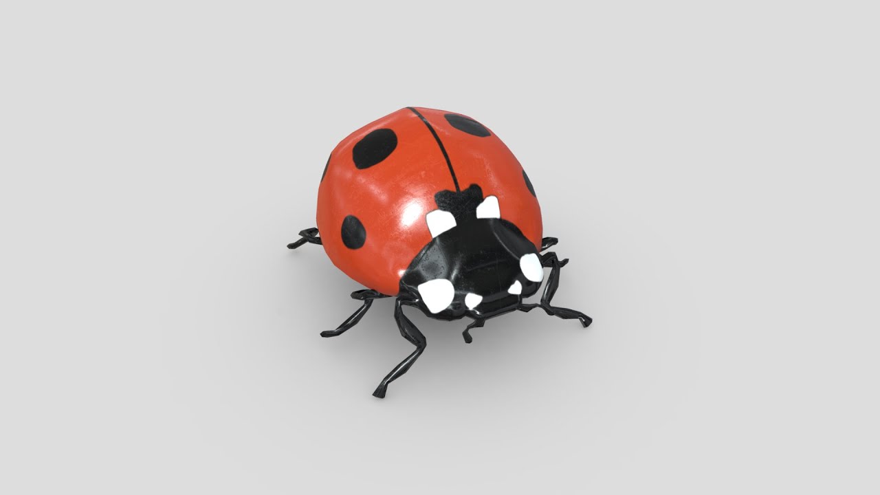 CC0 - Ladybug - low poly PBR 3d model - YouTube