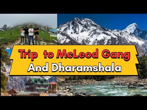 McLeod Ganj & Dharamshala Vlog 🏔️ | Temples, Naddi View Point & sukoon ...