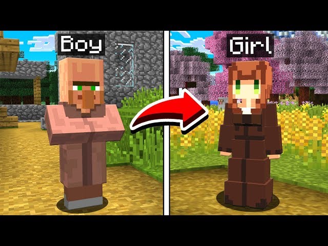 Minecraft Villager Girl