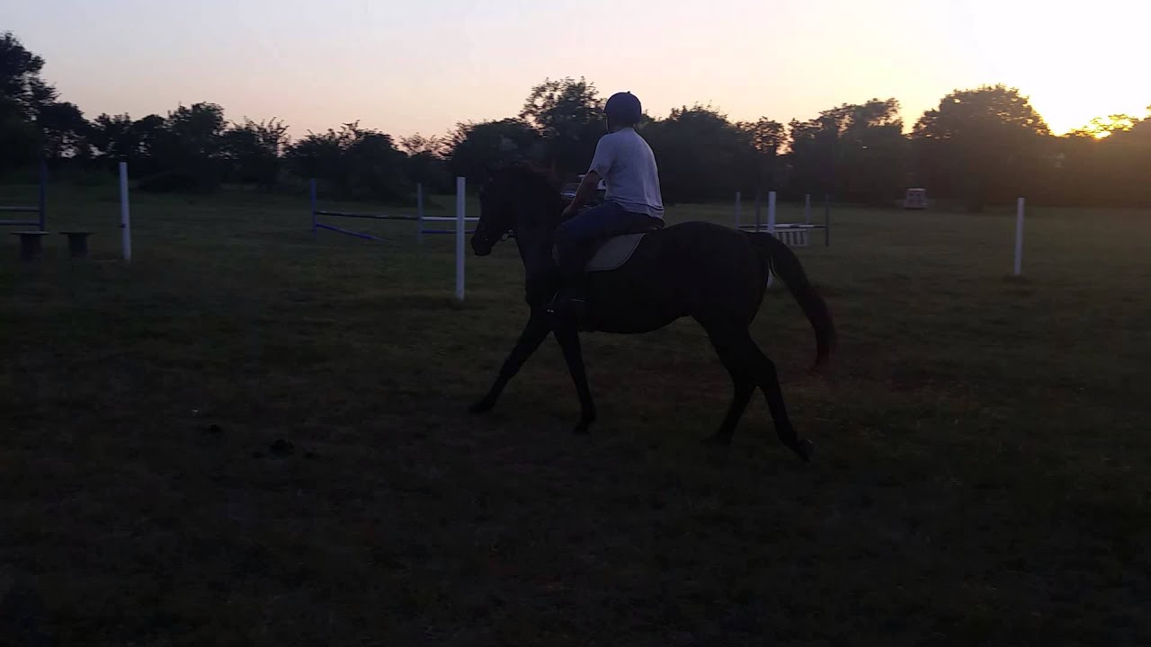 Snoopy jumping - YouTube