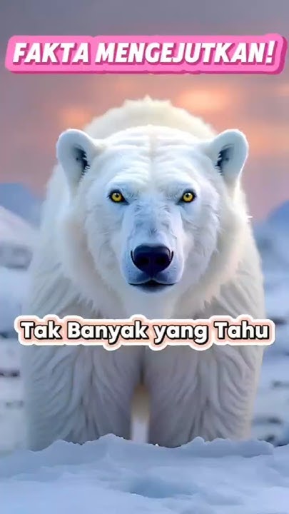 6 FAKTA UNIK BERUANG KUTUB YANG JARANG DIKETAHUI! #faktahewan #faktaunik #beruang #viralvideo # ...