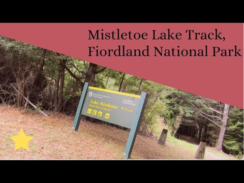 Short Walk at Lake Mistletoe on the Te Anau-Milford Highway - YouTube