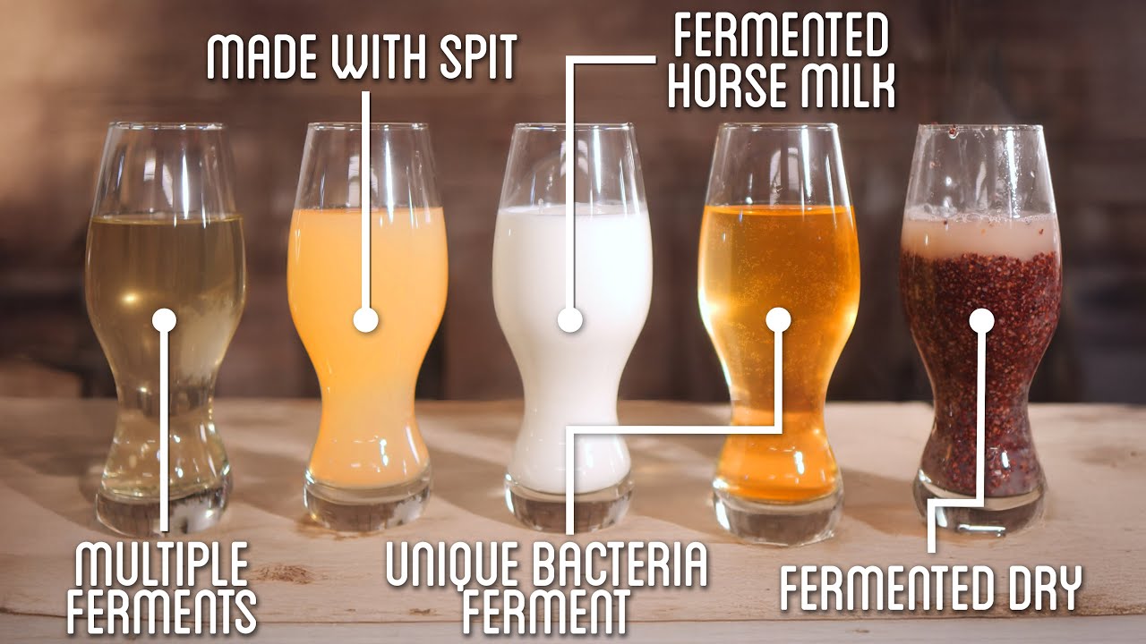 Fermented Horse Milk and Spit, 5 Unique Brews From Around the World ...