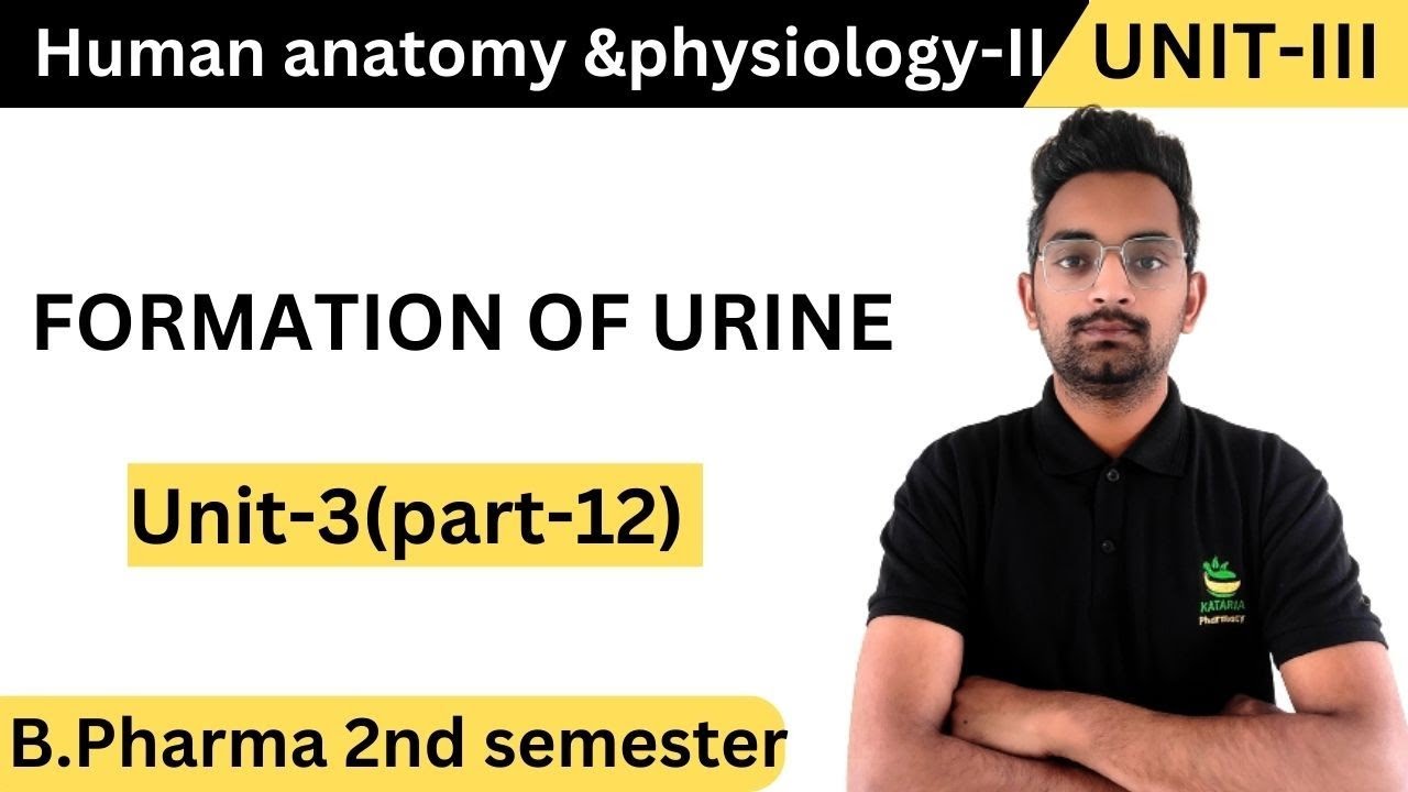 Formation of urine,Human anatomy and physiology-II,Unit-3(part-12) B ...