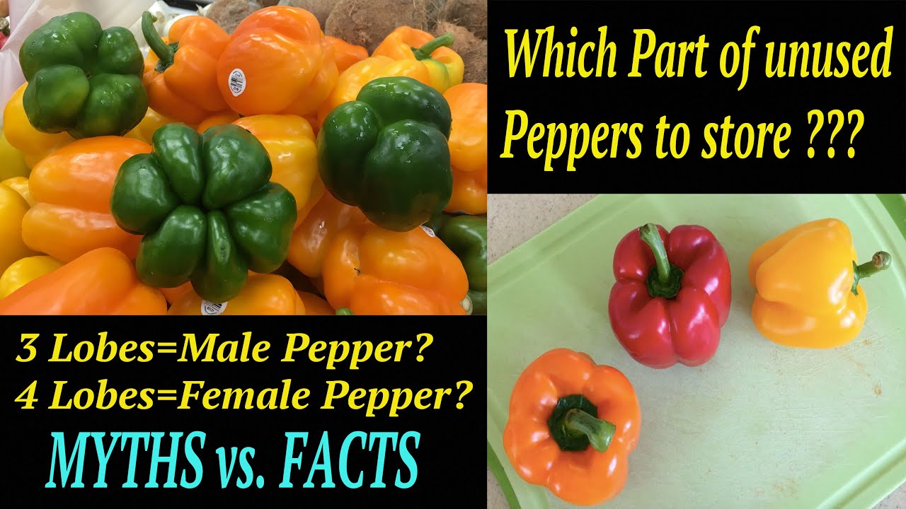 Male And Female Bell Peppers Are There Male And Female Peppers? | OSU