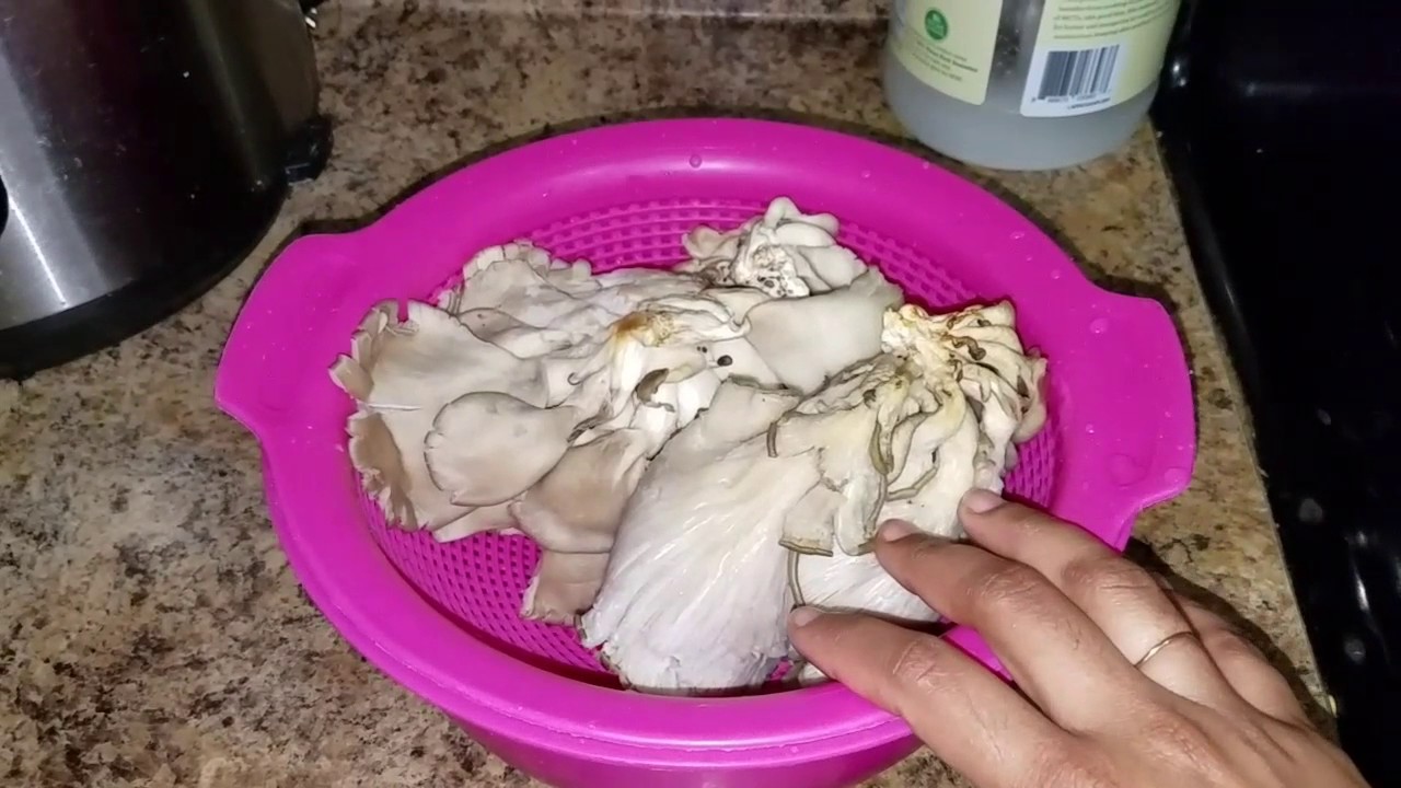 Oyster Mushroom kulambu/kalan kulambu/ Oyster mushroom gravy. - YouTube