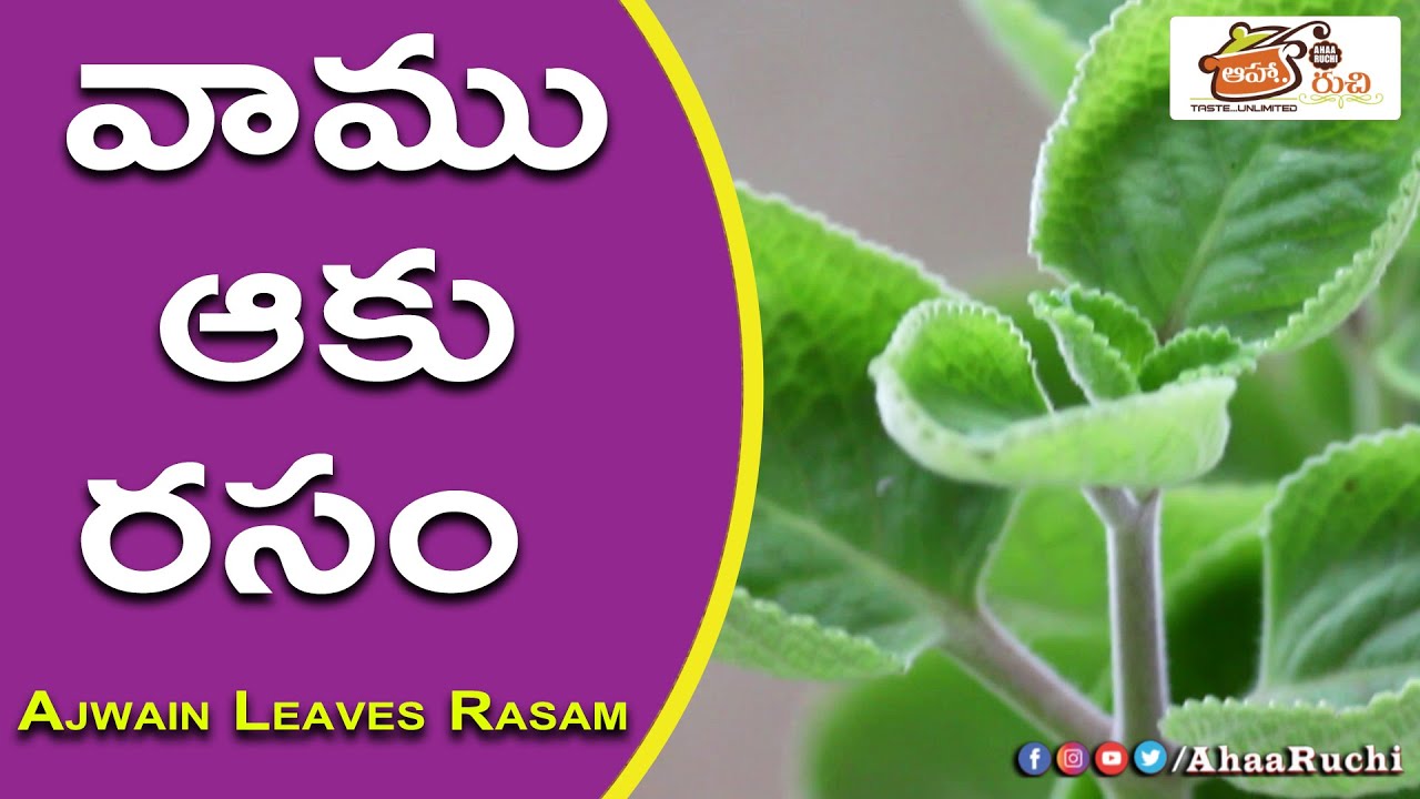 Vaamu aaku rasam || వాము ఆకు చారు || Vaamu Aaku Recipes || Ahaaruchi ...